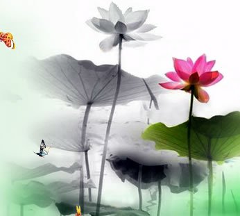 Qin Lin Massagepraxis